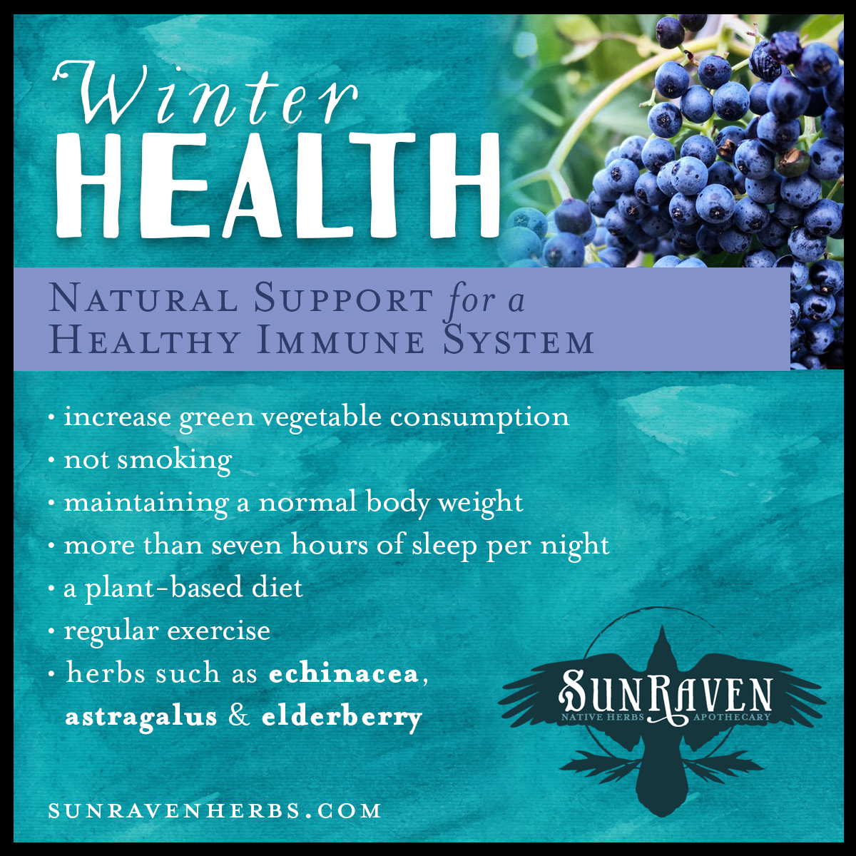 Winter Health: Natural Support for a Healthy Immune System – Jess Starwood