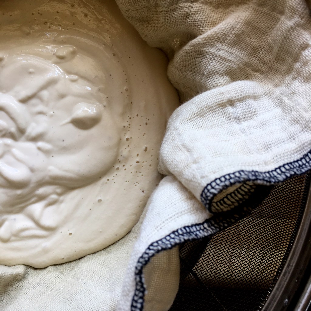 Fermented Raw Nut Cheese & Wild Spices – Jess Starwood